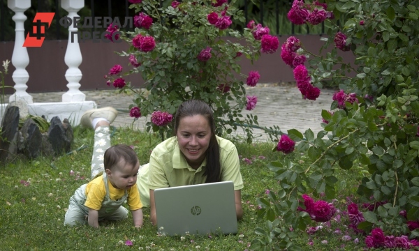 Как правильно выбрать Wi-Fi роутер на дачу | Москва | ФедералПресс