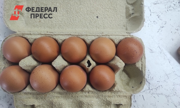 В России выросло производство яиц и мяса | Москва | ФедералПресс